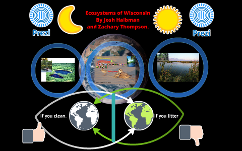 Ecosystems of Wisconsin. by j Halbman on Prezi