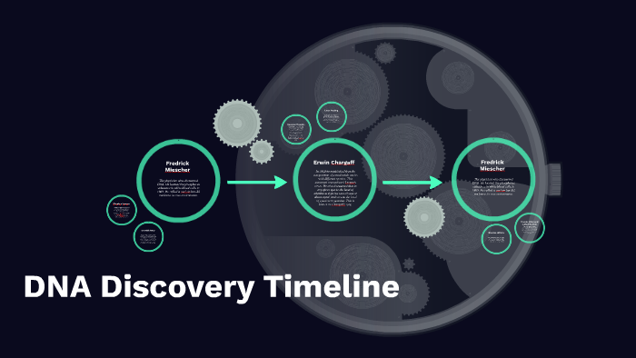 DNA Discovery Timeline by H C on Prezi