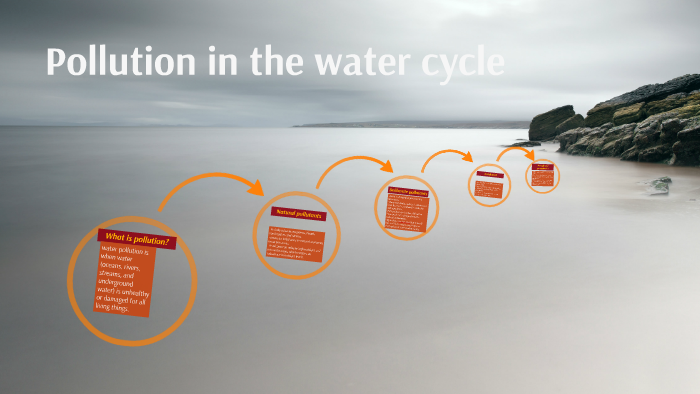 Water Pollution in the Water cycle by Briana King on Prezi