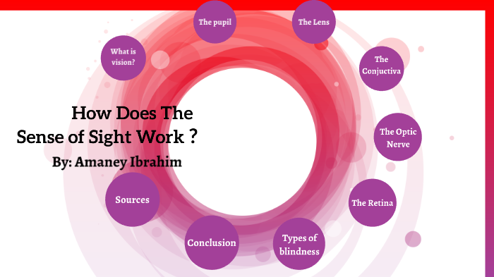 how does the sense of sight work by Amaney Ibrahim on Prezi