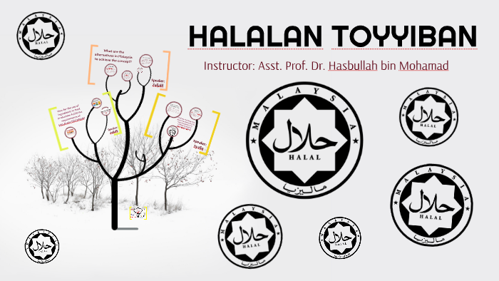 Toyyiban Delicate Colors | brunofuga.adv.br