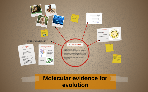 Molecular evidence for evolution by Patrick Jordan on Prezi