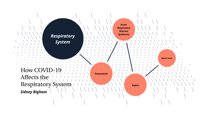 How COVID-19 Affects the Respiratory System by Sidney Bigham on Prezi