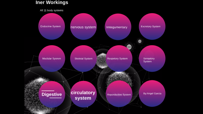 Eleven Body Systems by Angel Garcia on Prezi