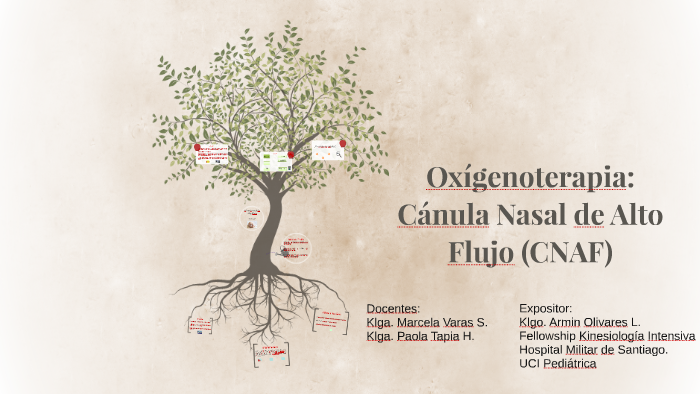 Oxígenoterapia: by on Prezi