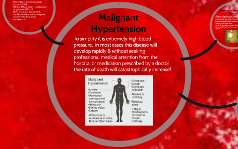Diagnostics & Cardiovascular system by Reid Hanson