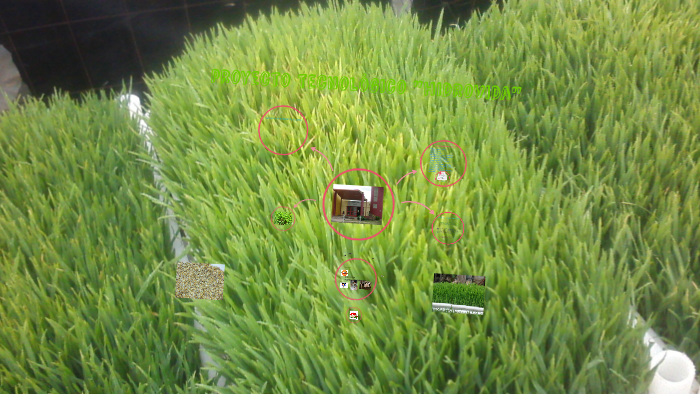 "proyecto hidrovida" by Verónica Stoll on Prezi