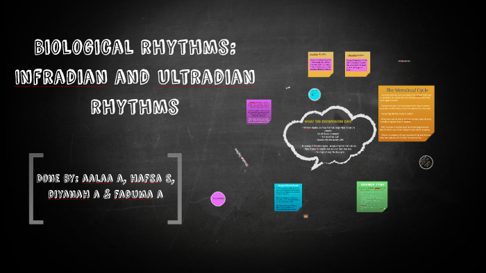 Biological rhythms: Infradian and Ultradian rhythms by Faduma Ibrahim