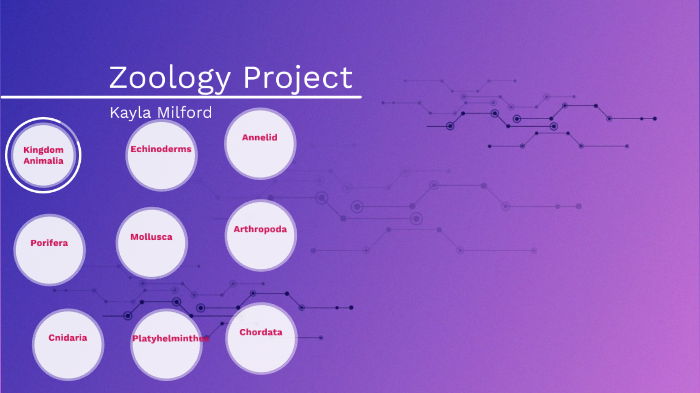 Zoology Project by Kayla Milford on Prezi