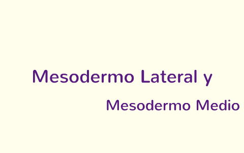 Mesodermo Lateral by Marian Fontane on Prezi
