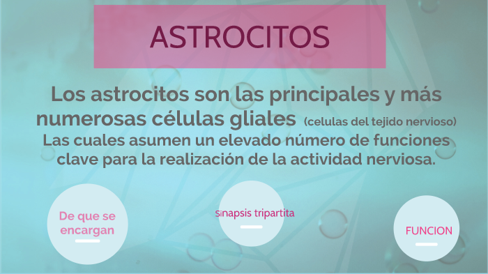 Astrocitos by itziar cuadra on Prezi