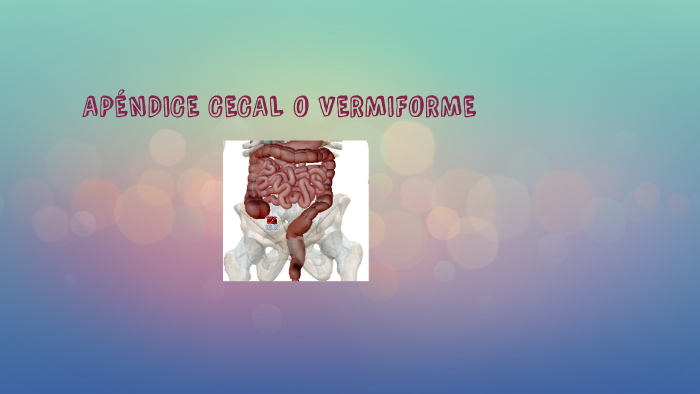 APÉNDICE CECAL O VERMIFORME by maria machaca on Prezi