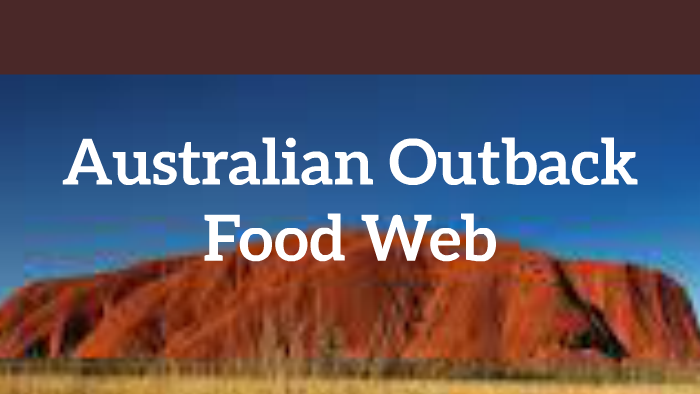 Australia Outback Food Web by Nicholas Wong on Prezi