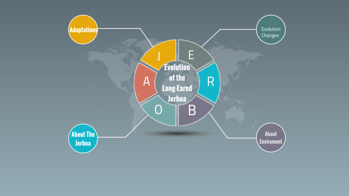Evolution- Jerboa by Paul Balan on Prezi