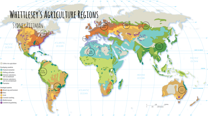Whittlesey's Agriculture Regions by Sydney Pittman on Prezi