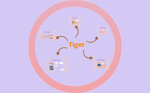 Tiger Hash Function by Reem R on Prezi