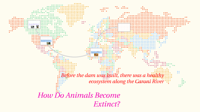 How Do Animals Become Extinct? by Kennedy Student 24 on Prezi