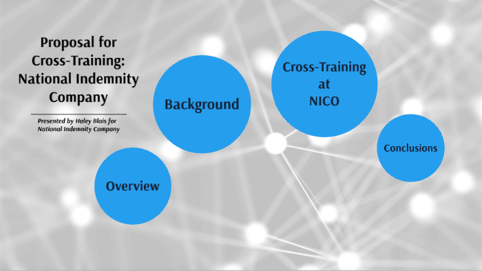 National Indemnity Company: Cross-Training Program Implementation by ...
