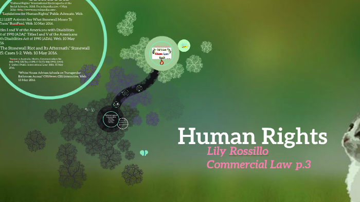 Human Rights by lily rossillo