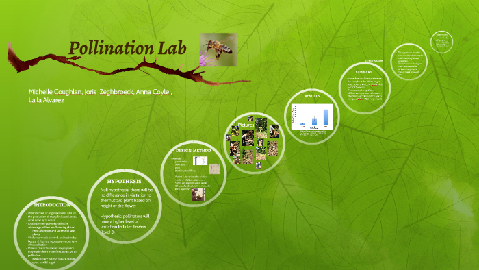 Pollination Lab by Laila Alvarez on Prezi