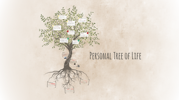 Personal Tree of Life by Hannah Slingerland on Prezi