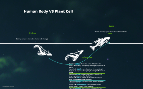 Challenge: Compare a plant cell to an Apple tree (Analogy) by Syd Prid ...
