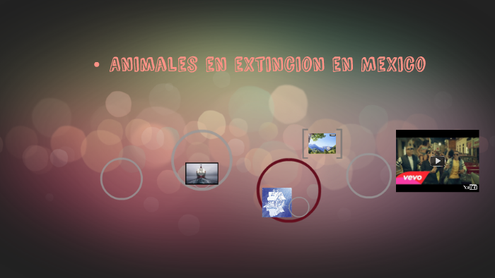 Animales en extincion en Mexico by Gabriela Rascon on Prezi