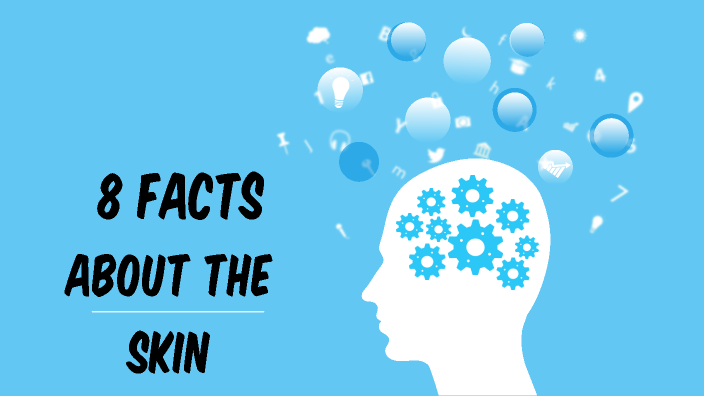 10 Facts About The Skin by Abby Evert on Prezi