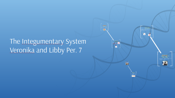 Integumentary System by Veronika Eisele on Prezi