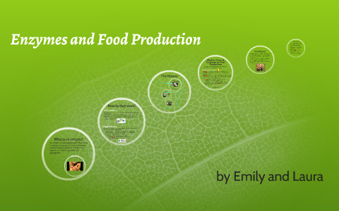 Enzymes and Food Production by Laura Mann on Prezi
