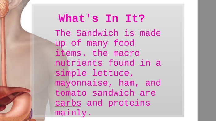Journey Of A Sandwich: Digestive System by Celina Montanez on Prezi