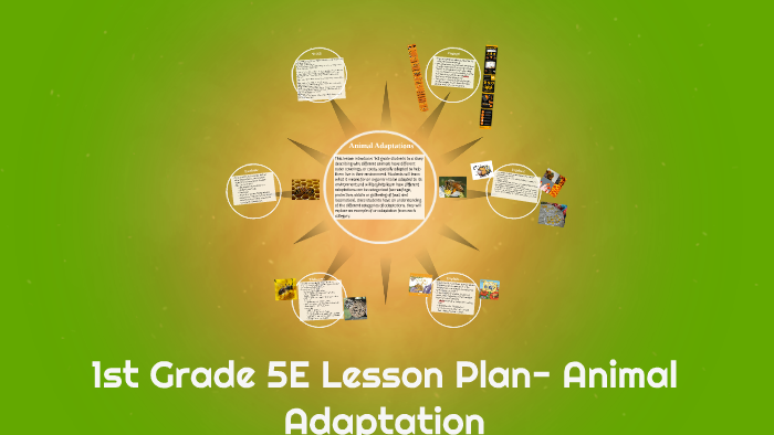 1st Grade 5E Lesson Plan- Animal Adaptation by LAURA SEPULVEDA on Prezi