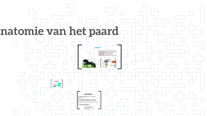 anatomie van het paard by Koen van breevoort on Prezi
