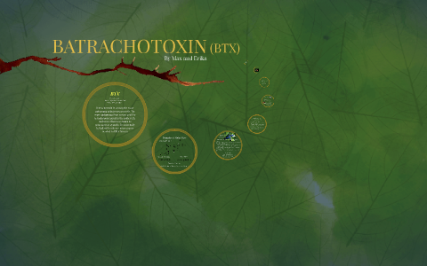 BATRACHOTOXIN by erika sirola on Prezi
