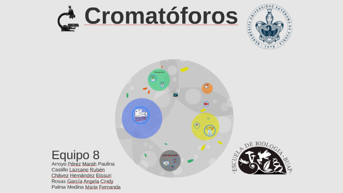 Cromatóforos by Paulina Arroyo on Prezi