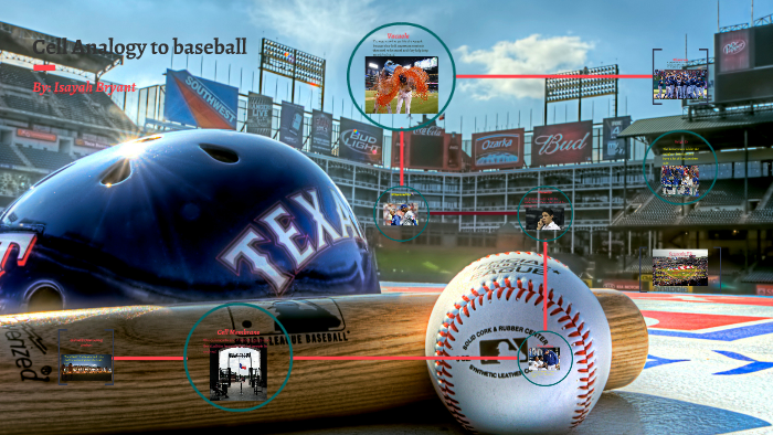 Cell Analogy to baseball by Isayah Bryant on Prezi