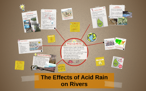 The Effects of Acid Rain on Rivers by Sally Oh on Prezi
