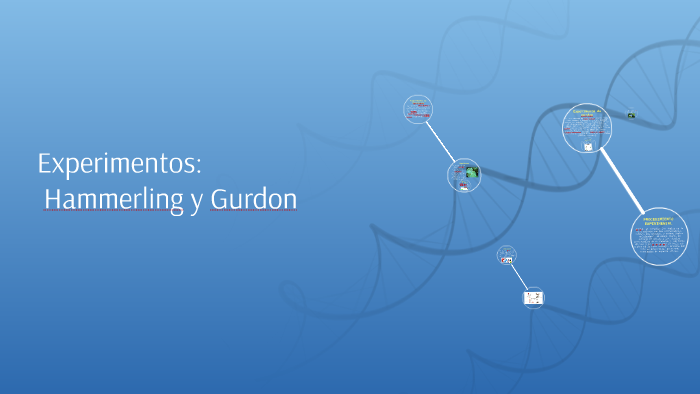 Experimentos Hammerling y Gurdon by Sofia Camhi on Prezi