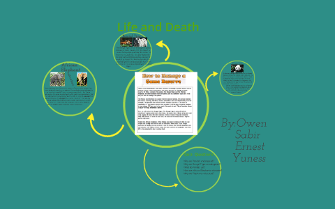 Life and Death by Owen Rami on Prezi