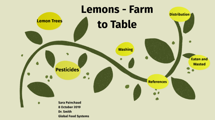 Food Chain Map - Lemons by sara painchaud on Prezi