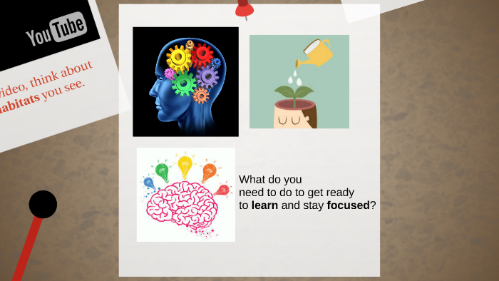 Should Zoos Exist? by Emily Nunez on Prezi