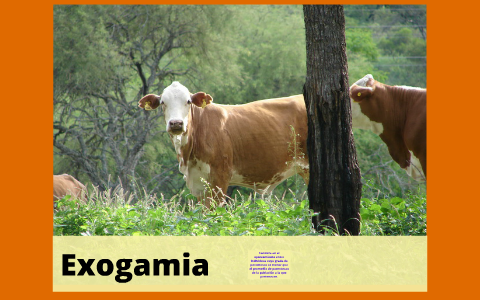 Exogamia by Genética Poblaciones FCV UBA on Prezi