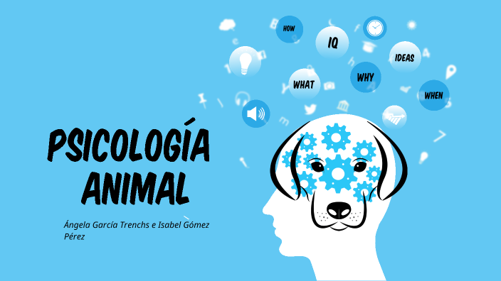 Psicología animal by Ángela García Trenchs on Prezi