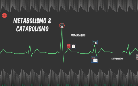 Metabolismo & Catabolismo by Daniela Rojas on Prezi