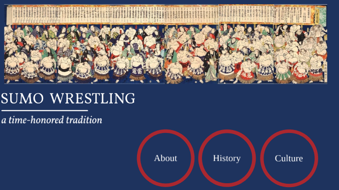 Sumo Presentation by Group 48 on Prezi