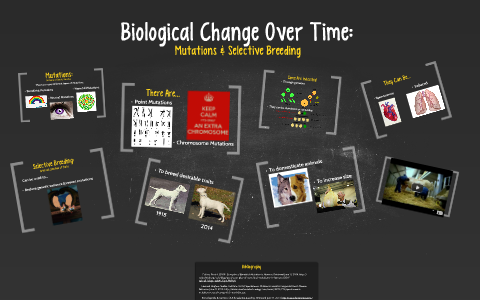 Biological Change Over Time: by Brianna Priestley on Prezi