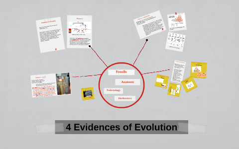 4 Evidences of Evolution by Lauren Gomez on Prezi
