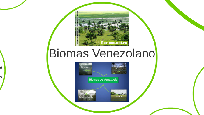 Biomas Venezolano by Yineth Ycma on Prezi