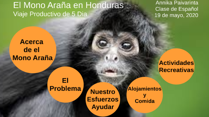 El Mono Araña en Honduras by Annika Paivarinta on Prezi