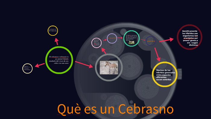 Que es un cebrasno by Carlos Flores Yanez on Prezi